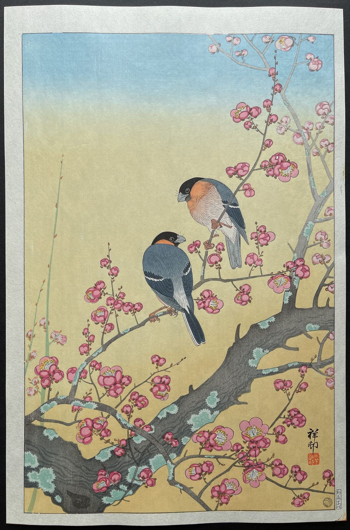 Plum Blossom and Japanese Nightingale - Ohara Koson - Japanese Prints ...