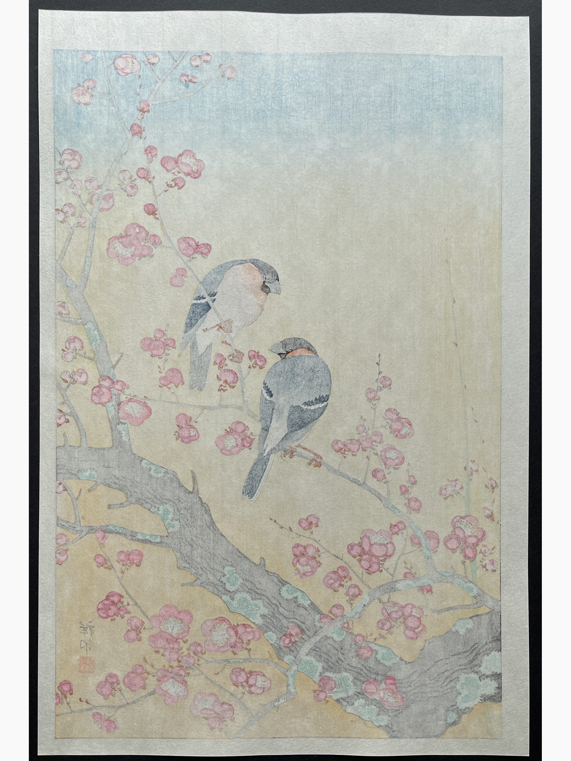 Plum Blossom and Japanese Nightingale - Ohara Koson - Japanese Prints ...