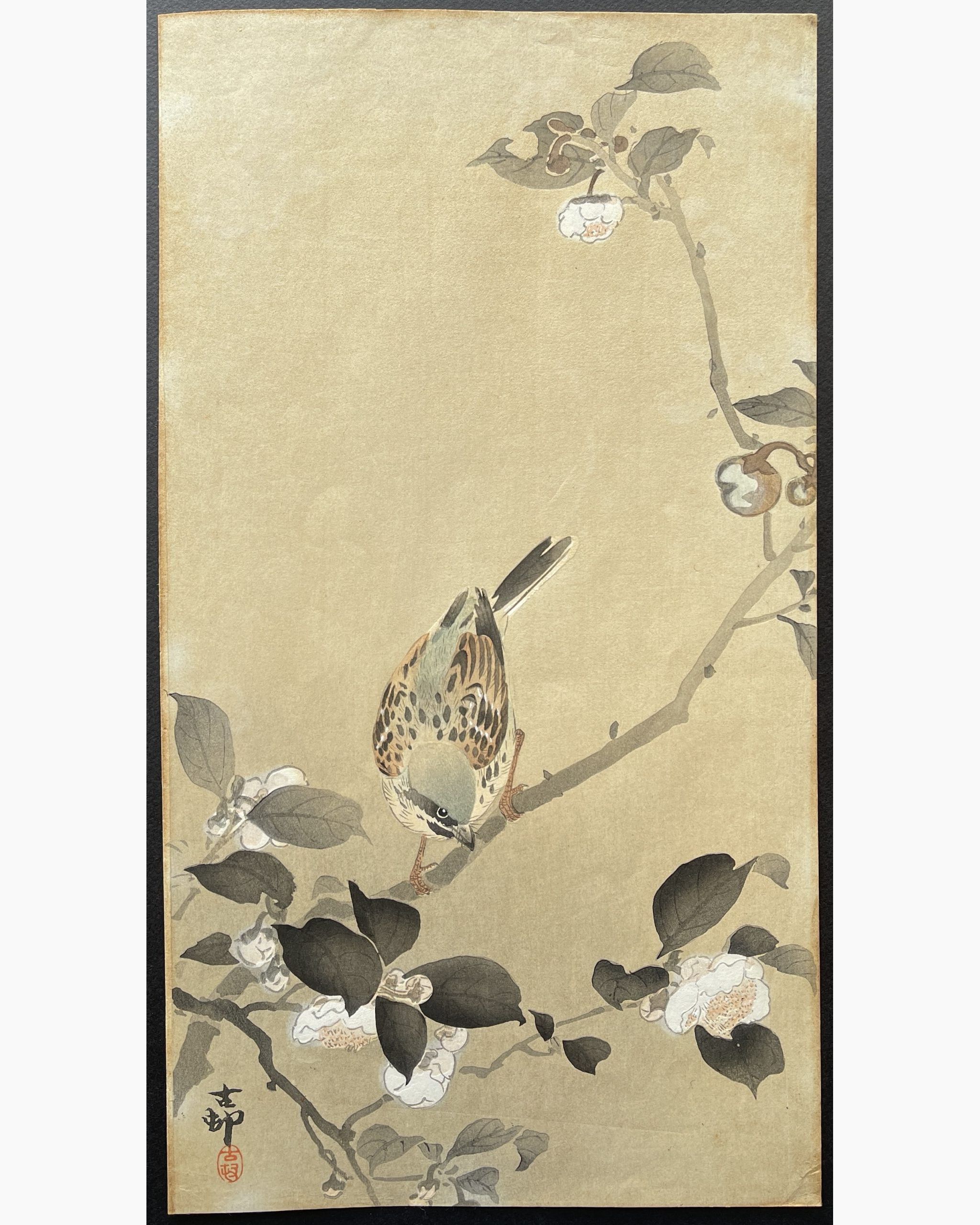 Ohara Koson - Japanese Prints - Nipponprints.com