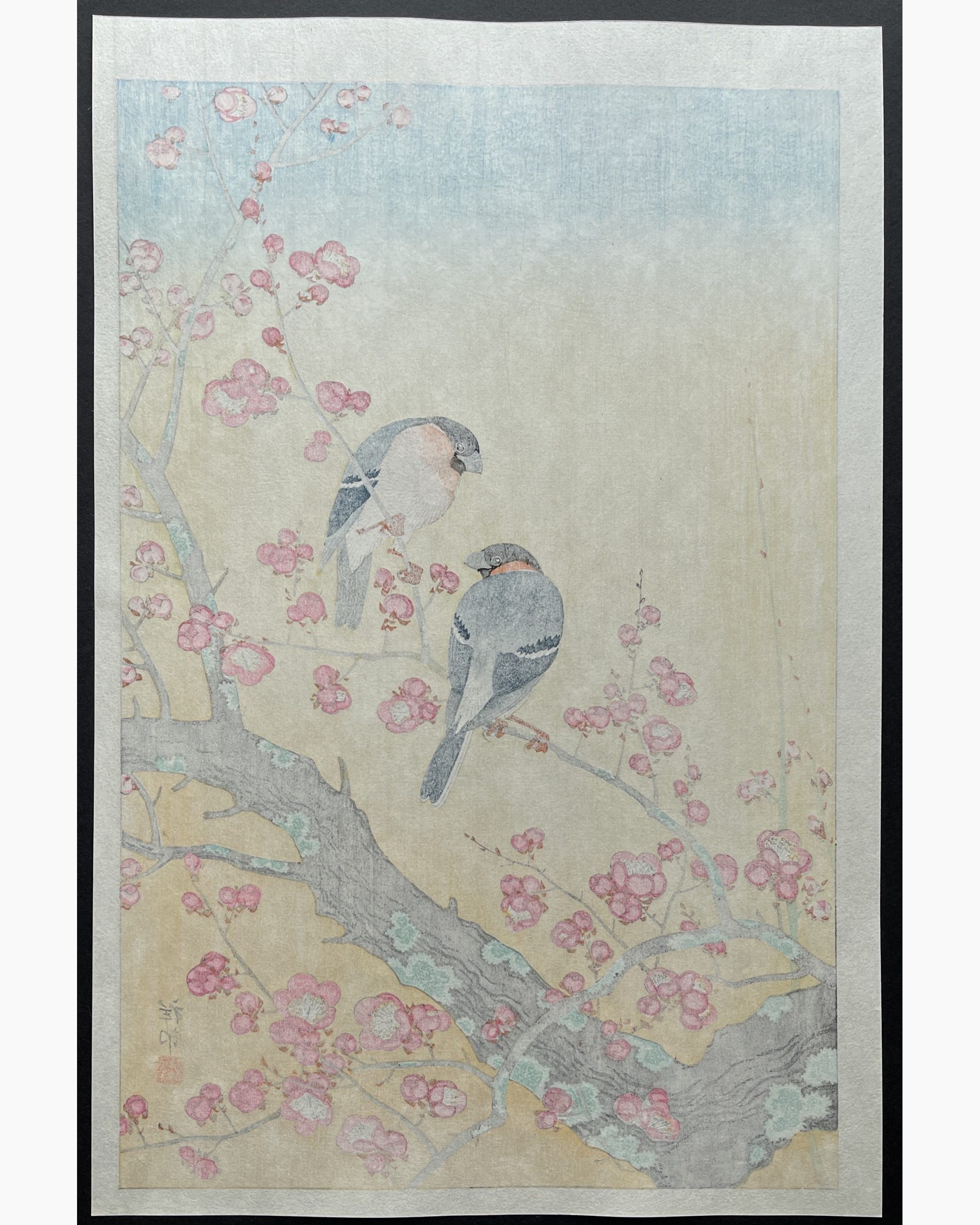 Plum Blossom and Japanese Nightingale - Ohara Koson - Japanese Prints ...