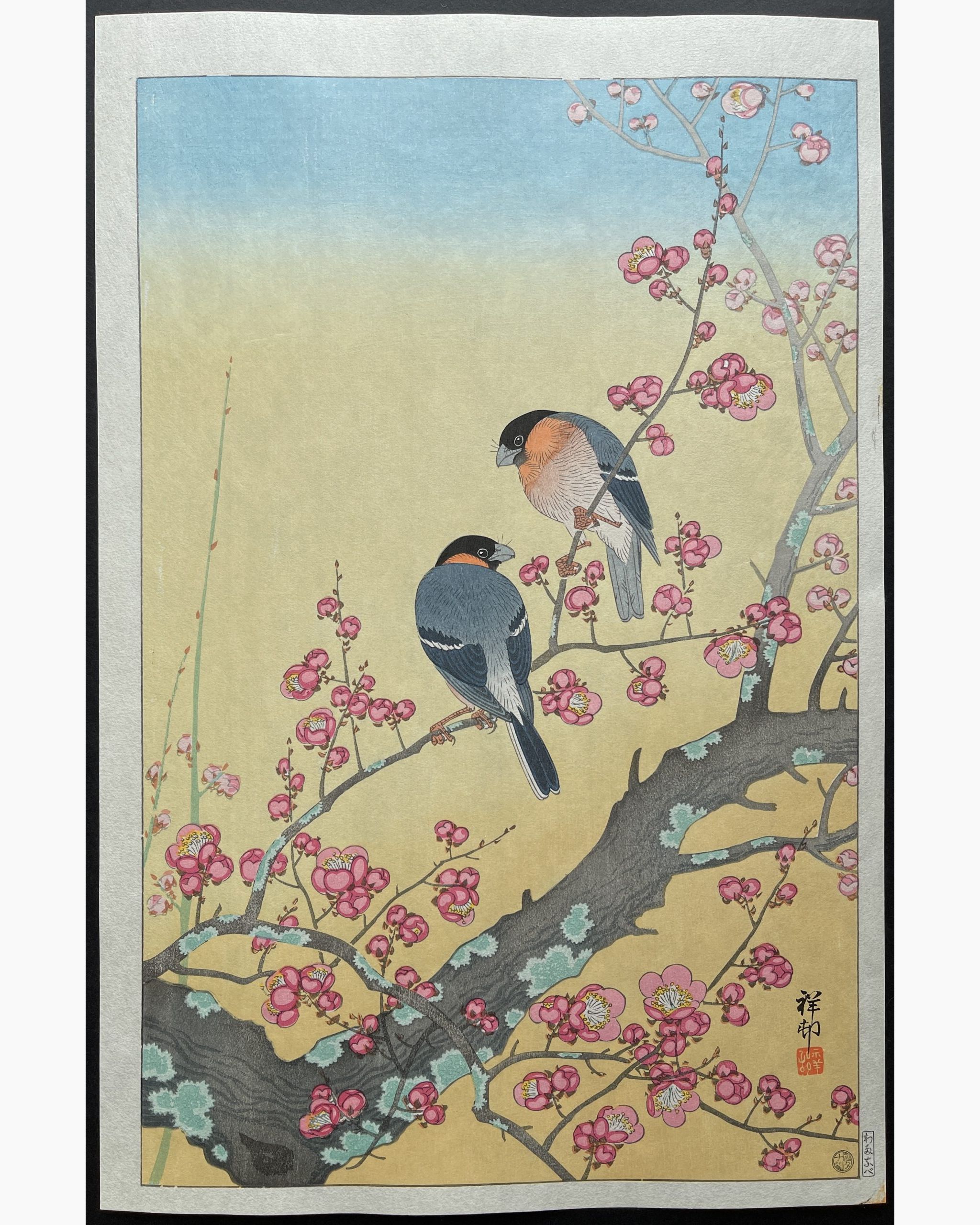 Plum Blossom and Japanese Nightingale - Ohara Koson - Japanese Prints ...