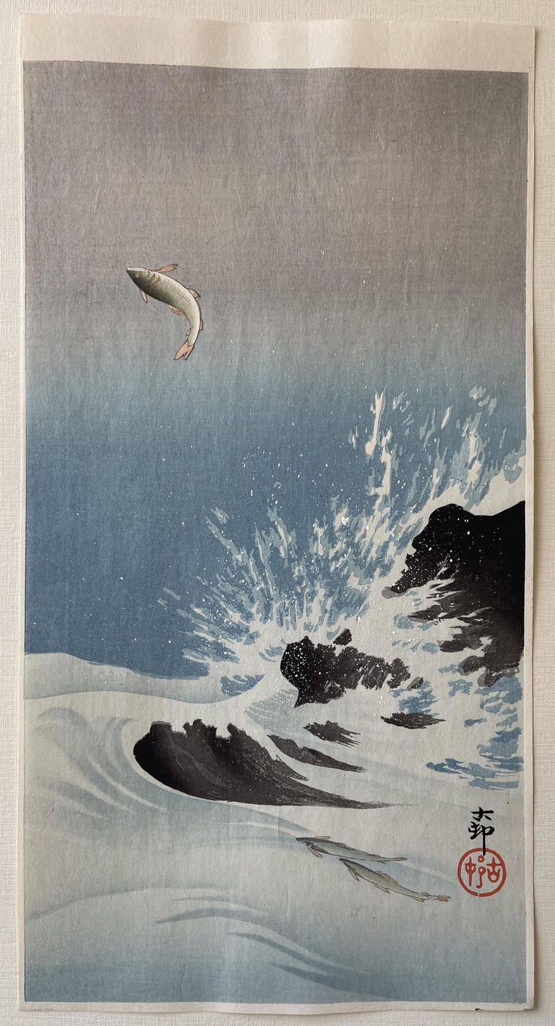 Three Salmon, one jumping high above water splashing around rocks ...